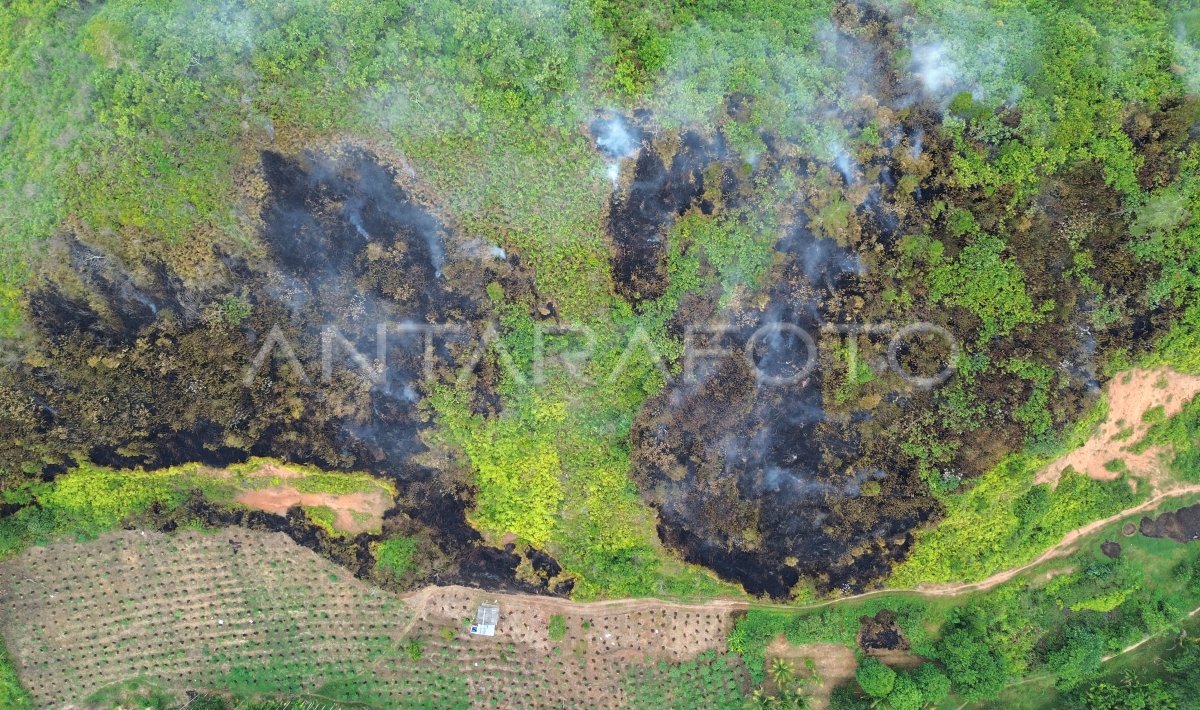 Kebakaran hutan dan lahan di Limapuluhkota | ANTARA Foto