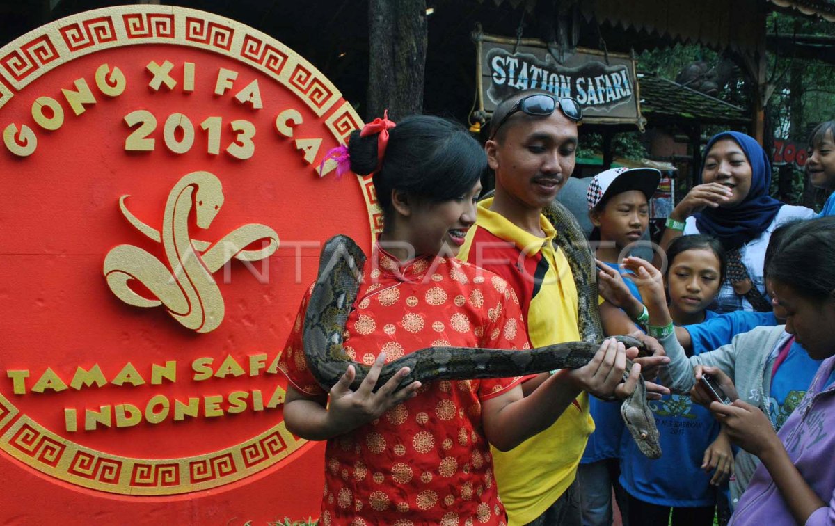 WATER SNAKE YEAR | ANTARA Foto