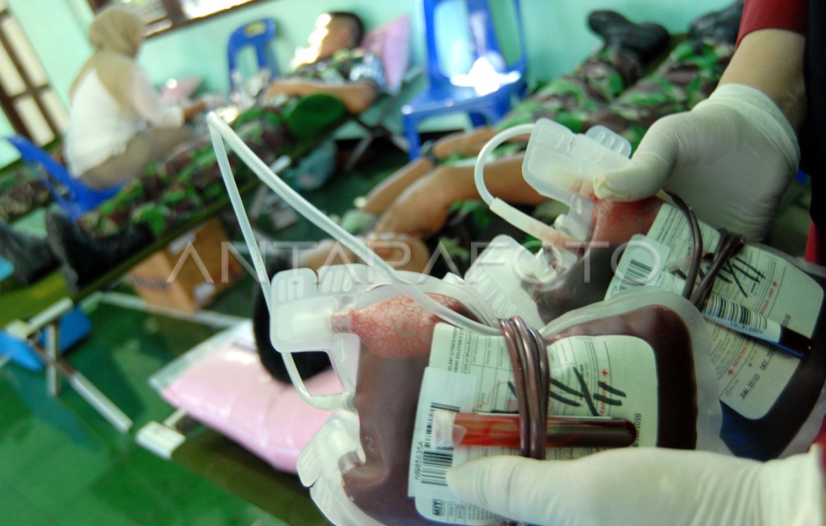 DONOR DARAH TNI | ANTARA Foto