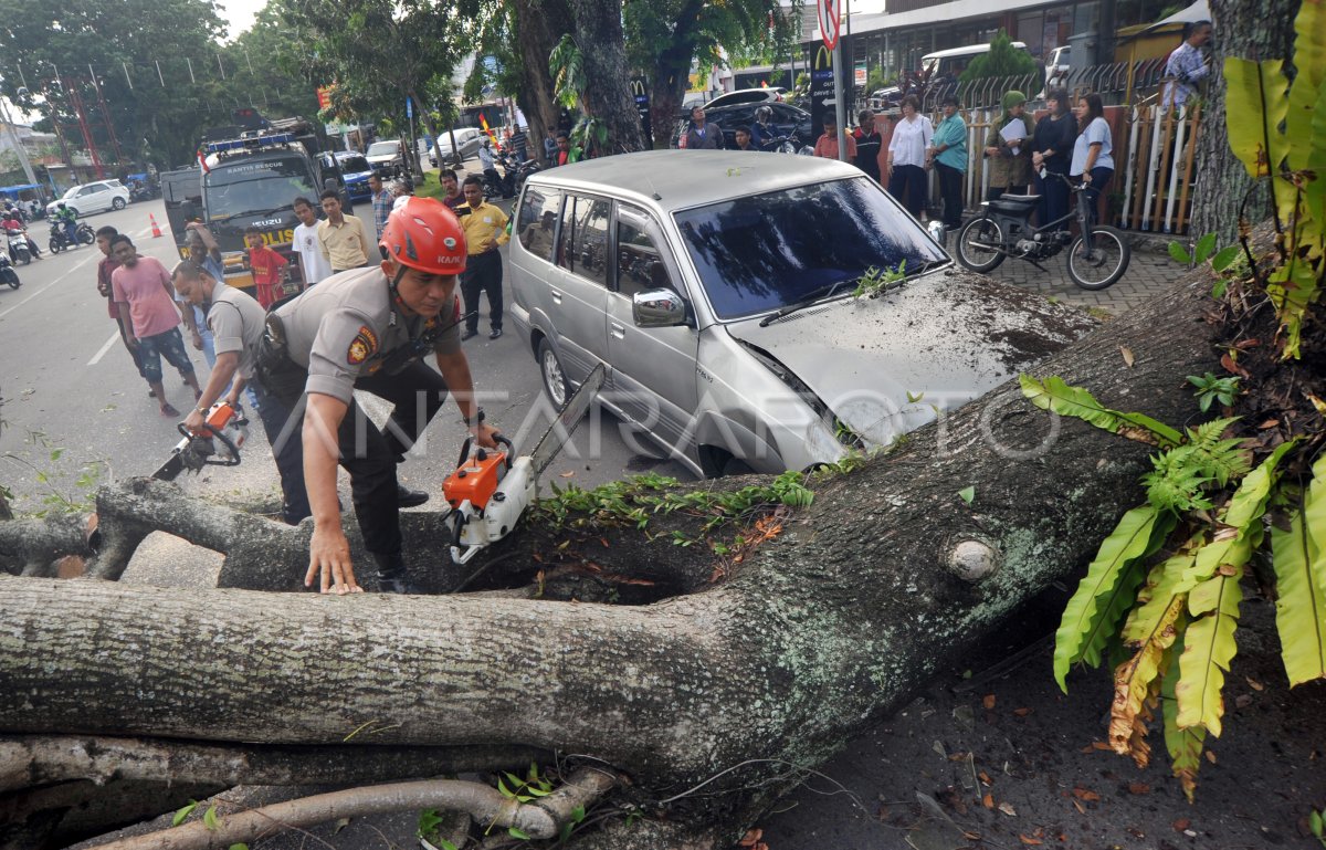 POHON TUMBANG TIMPA MOBIL | ANTARA Foto