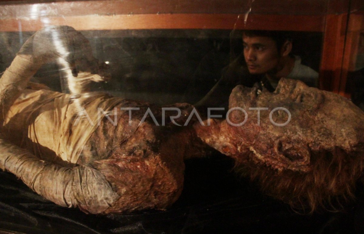 MUMI FIRAUN REPLICA EXHIBITION | ANTARA Foto