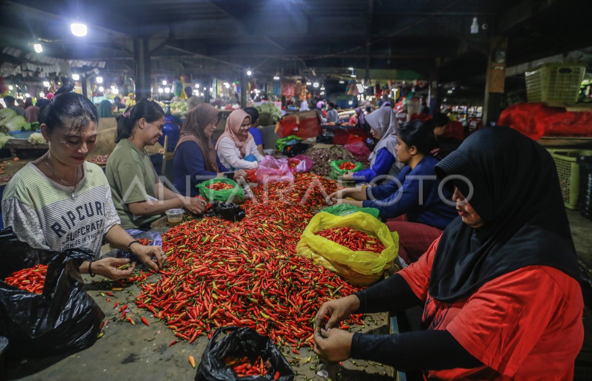 Harga cabai rawit di Ternate tembus Rp100 ribu per kilogram | ANTARA Foto