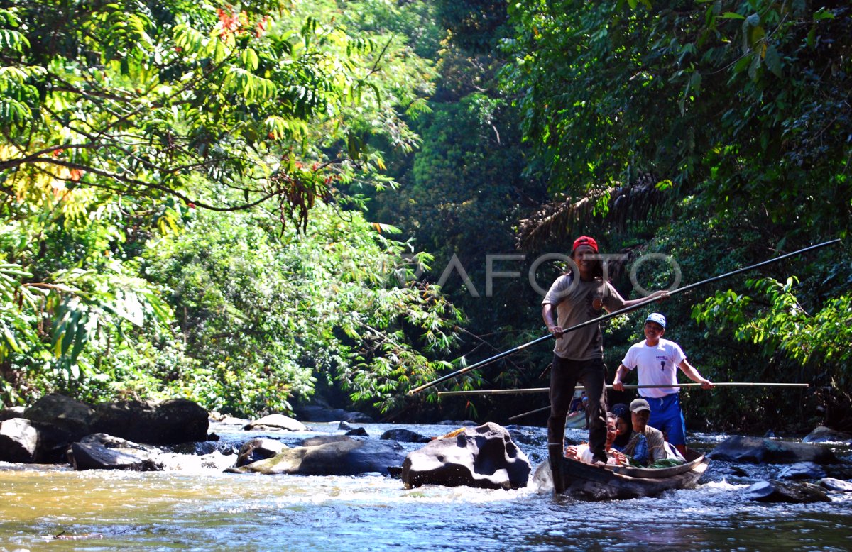 TAMAN NASIONAL BUKIT TIGAPULUH | ANTARA Foto