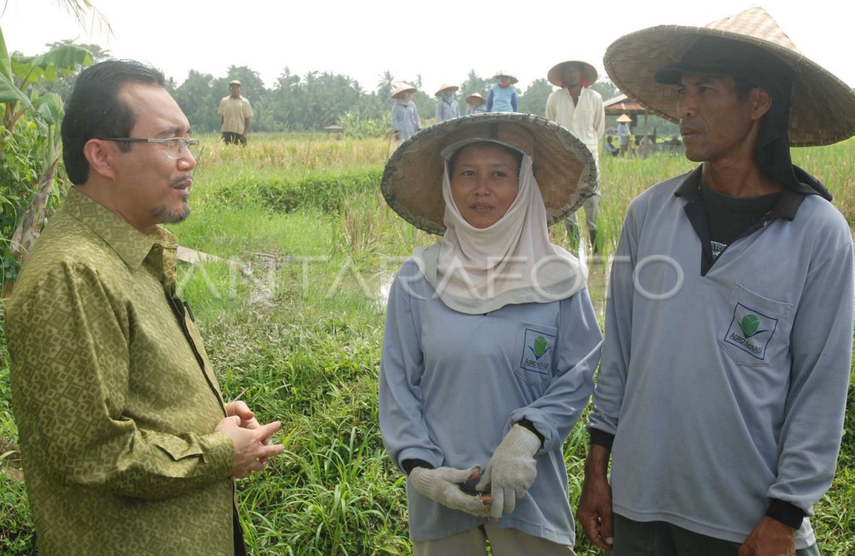 PERLINDUNGAN LAHAN PERTANIAN | ANTARA Foto