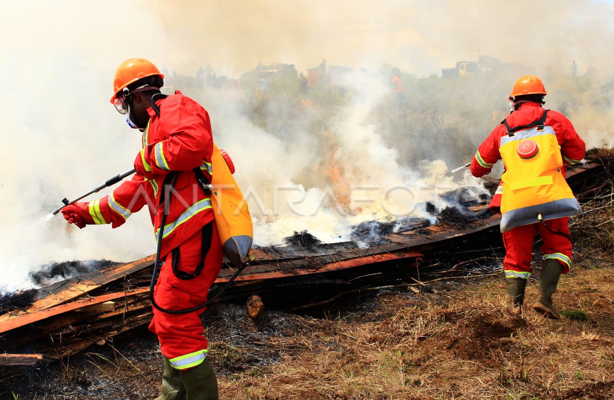Simulasi pemadaman kebakaran lahan di Papua | ANTARA Foto