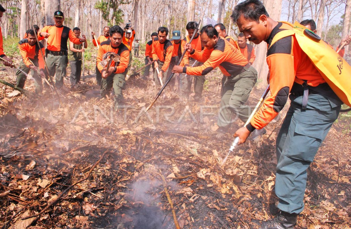 KEBAKARAN HUTAN | ANTARA Foto