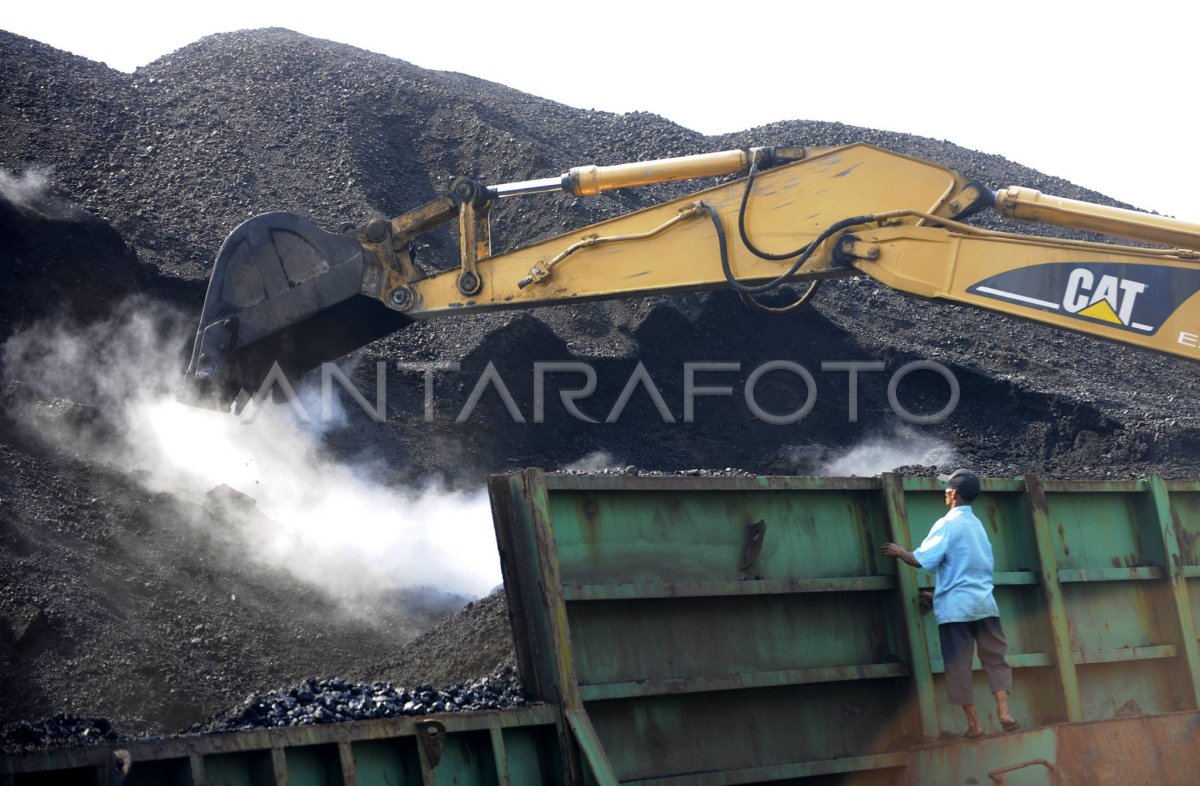 PRODUKSI BATUBARA NASIONAL | ANTARA Foto