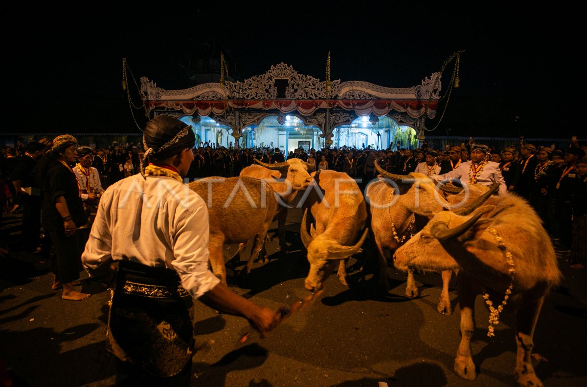 Kirab malam satu Suro Keraton Kasunanan Solo | ANTARA Foto