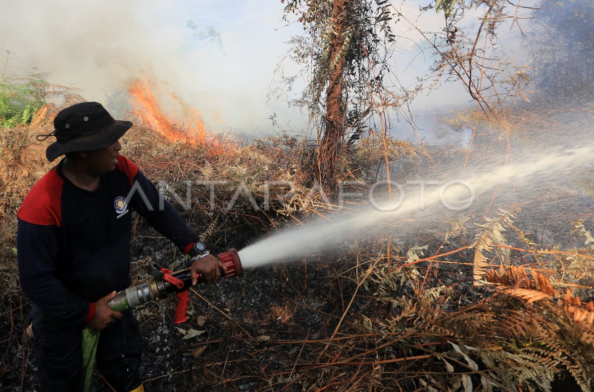 Kebakaran hutan dan lahan di Aceh Barat | ANTARA Foto