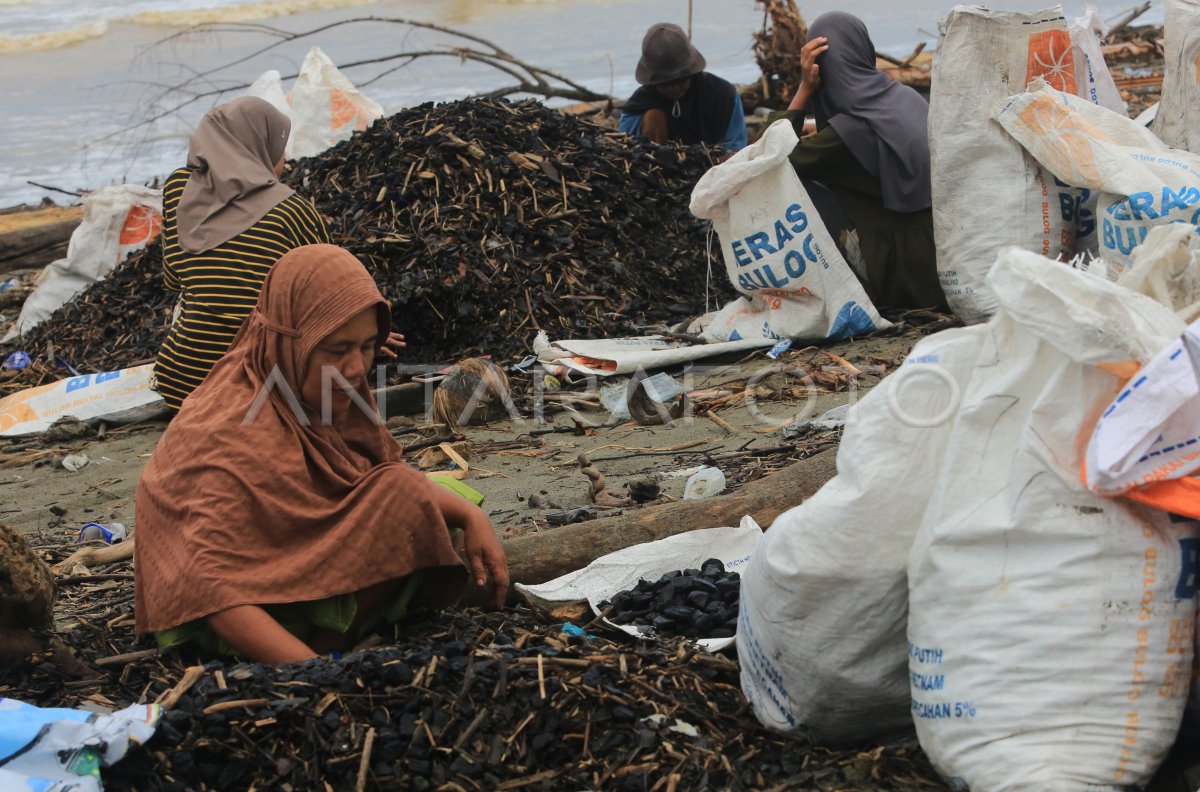 Warga pungut limbah batu bara di pinggir pantai | ANTARA Foto