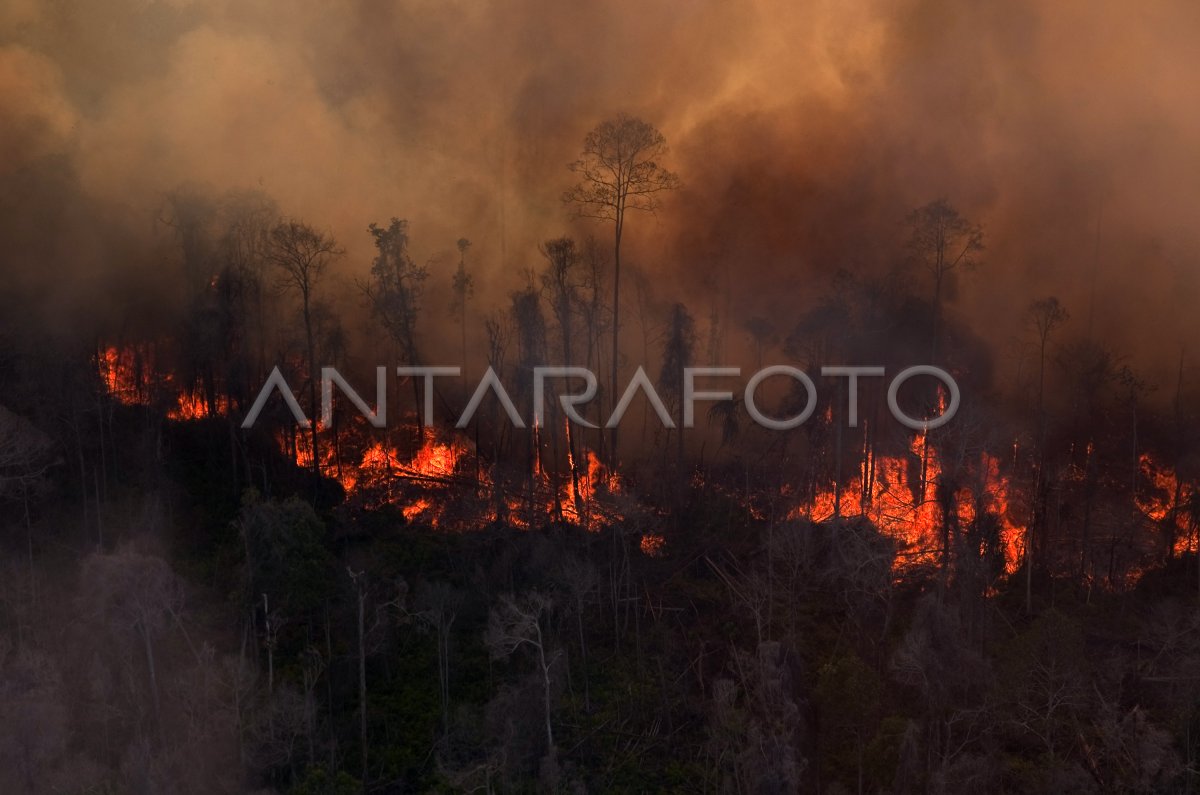 KEBAKARAN HUTAN RIAU | ANTARA Foto