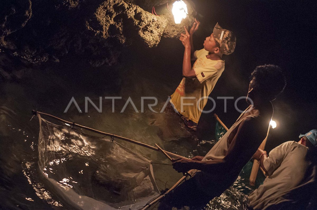 TRADISI TIMBA LAOR | ANTARA Foto