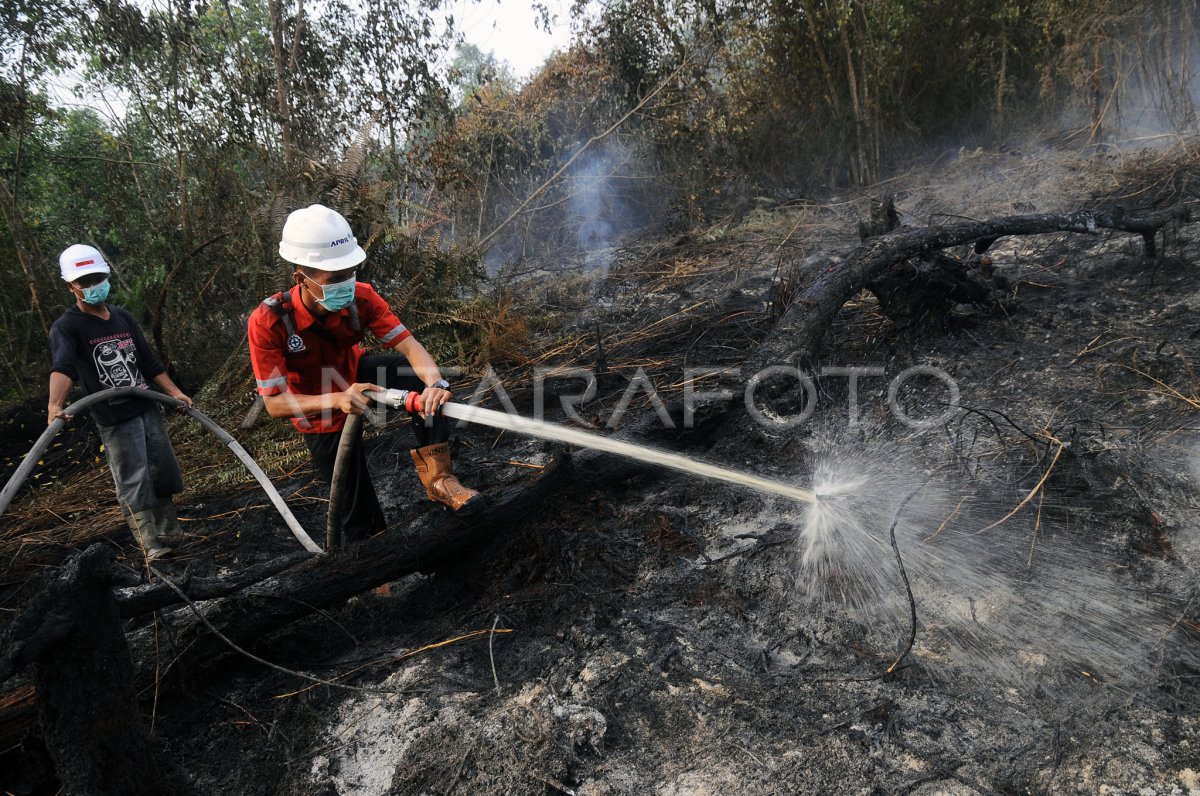 KEBAKARAN HUTAN RIAU | ANTARA Foto