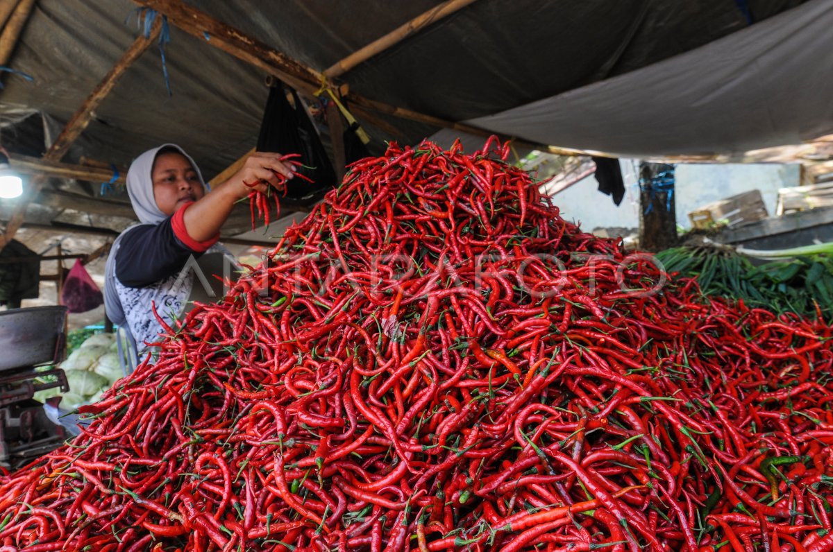 HARGA CABAI MASIH TINGGI | ANTARA Foto