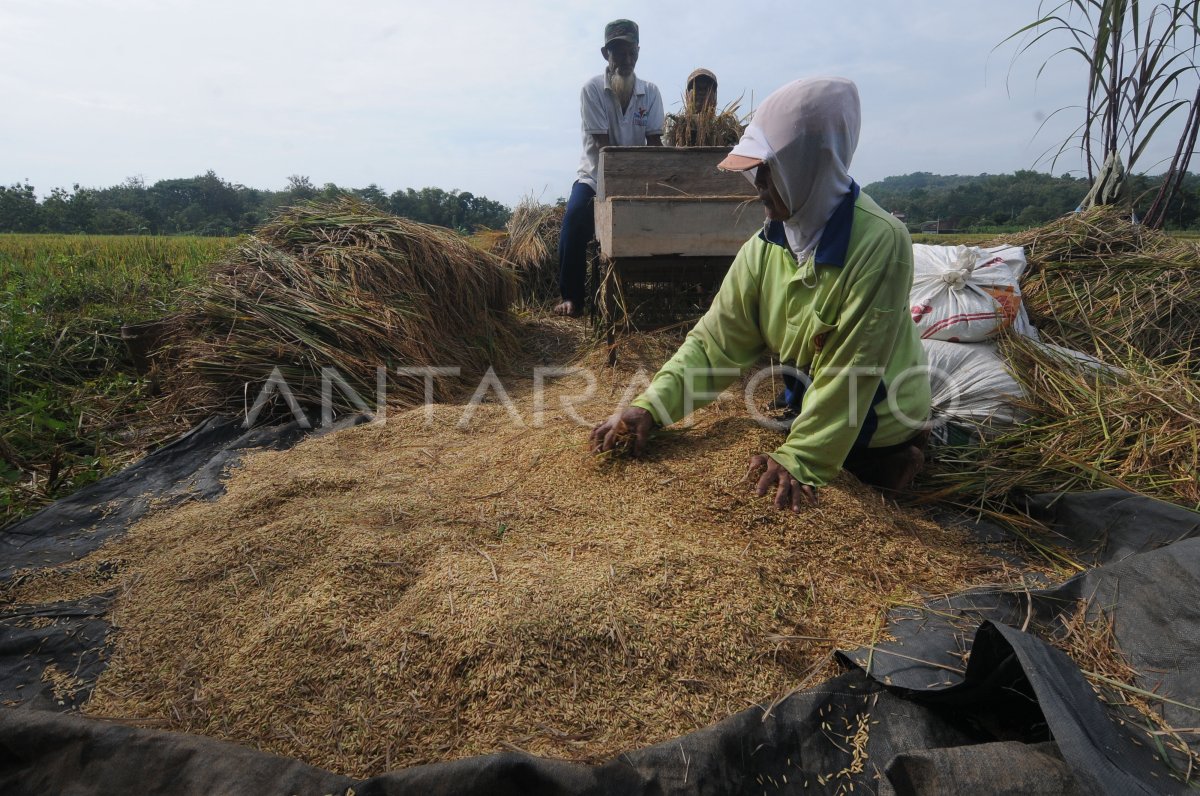 TARGET SPHP BERAS 2023 | ANTARA Foto TARGET SPHP BERAS 2023 | ANTARA Foto