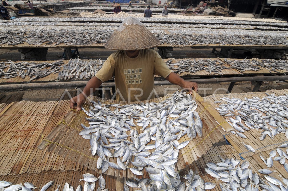 IKAN ASIN | ANTARA Foto