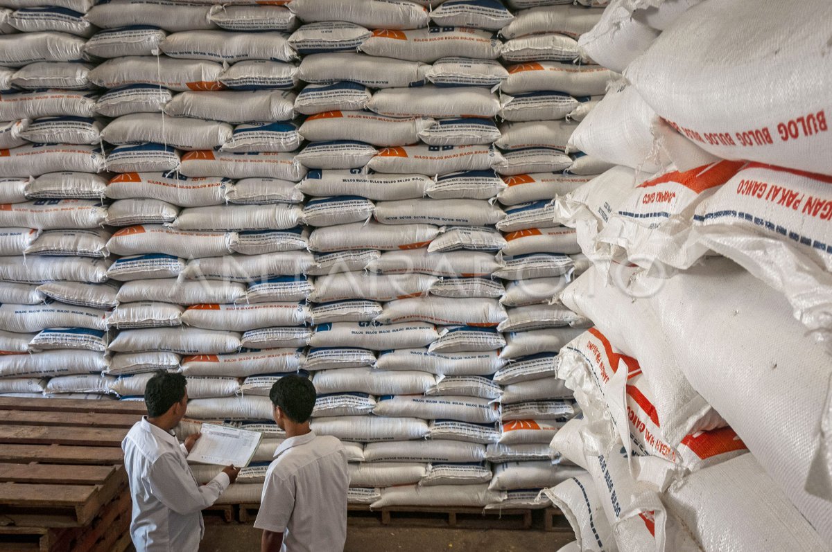 Penyerapan beras Bulog | ANTARA Foto