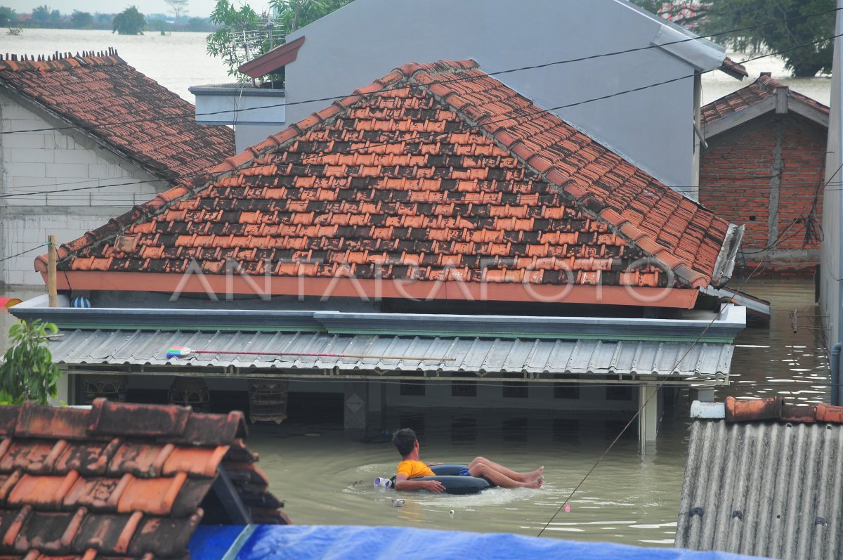 Ribuan rumah terendam banjir di Demak | ANTARA Foto