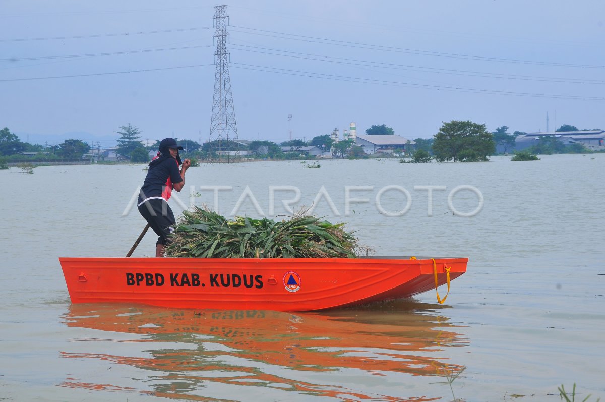 Akses jalan desa putus akibat banjir di Kudus | ANTARA Foto