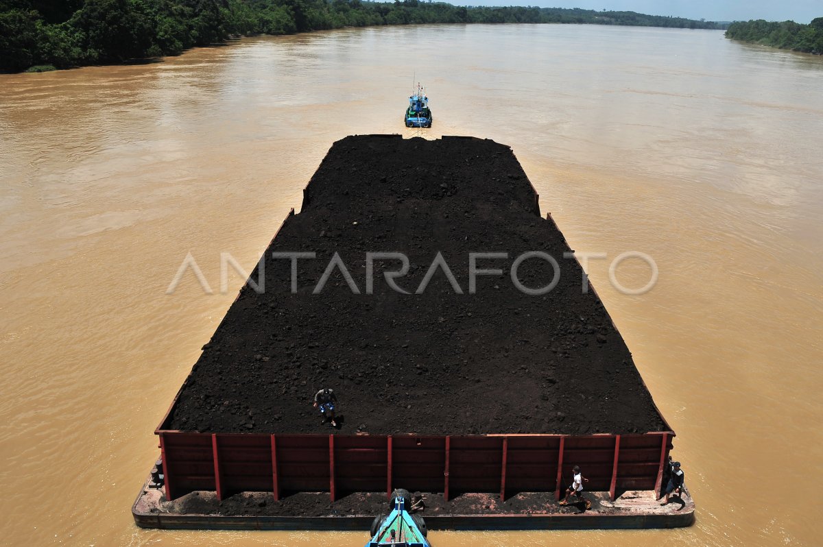 TARGET PRODUKSI BATU BARA | ANTARA Foto