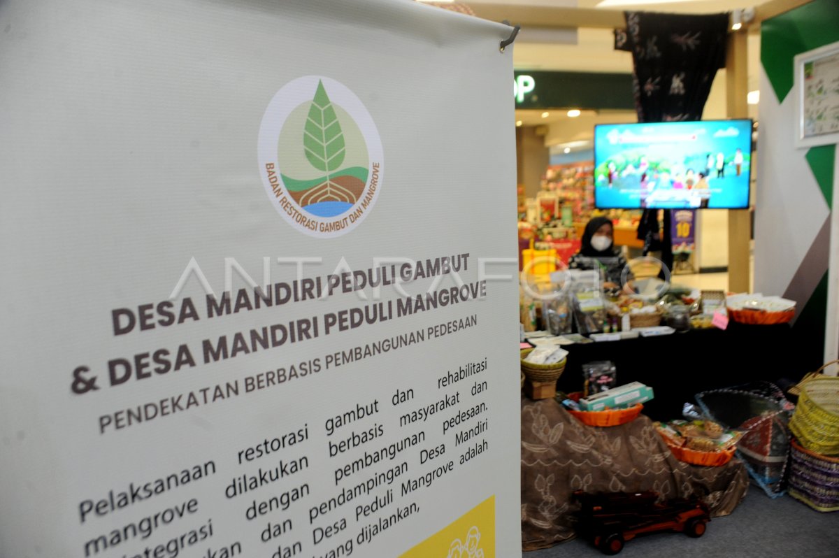 PAMERAN HASIL KEGIATAN RESTORASI GAMBUT SUMSEL | ANTARA Foto