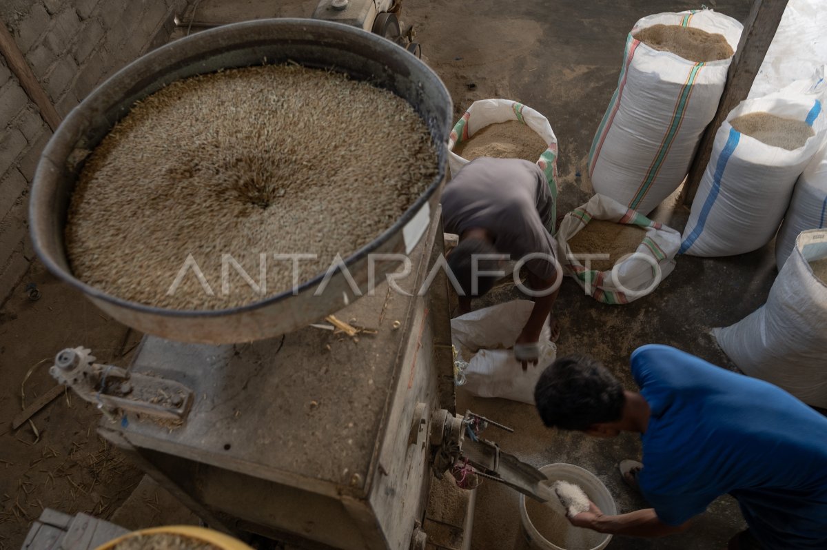Persediaan beras di penggilingan padi | ANTARA Foto