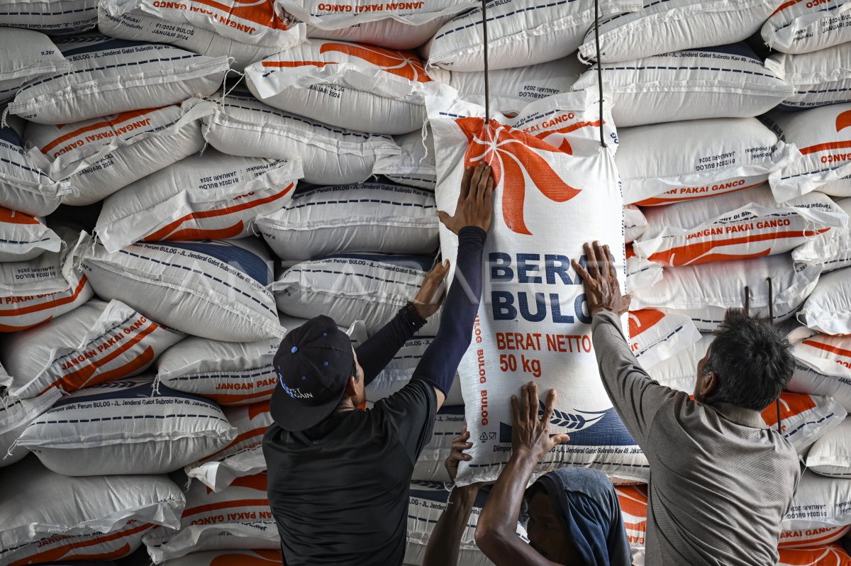 Stok cadangan beras nasional aman hingga Juni 2024 | ANTARA Foto