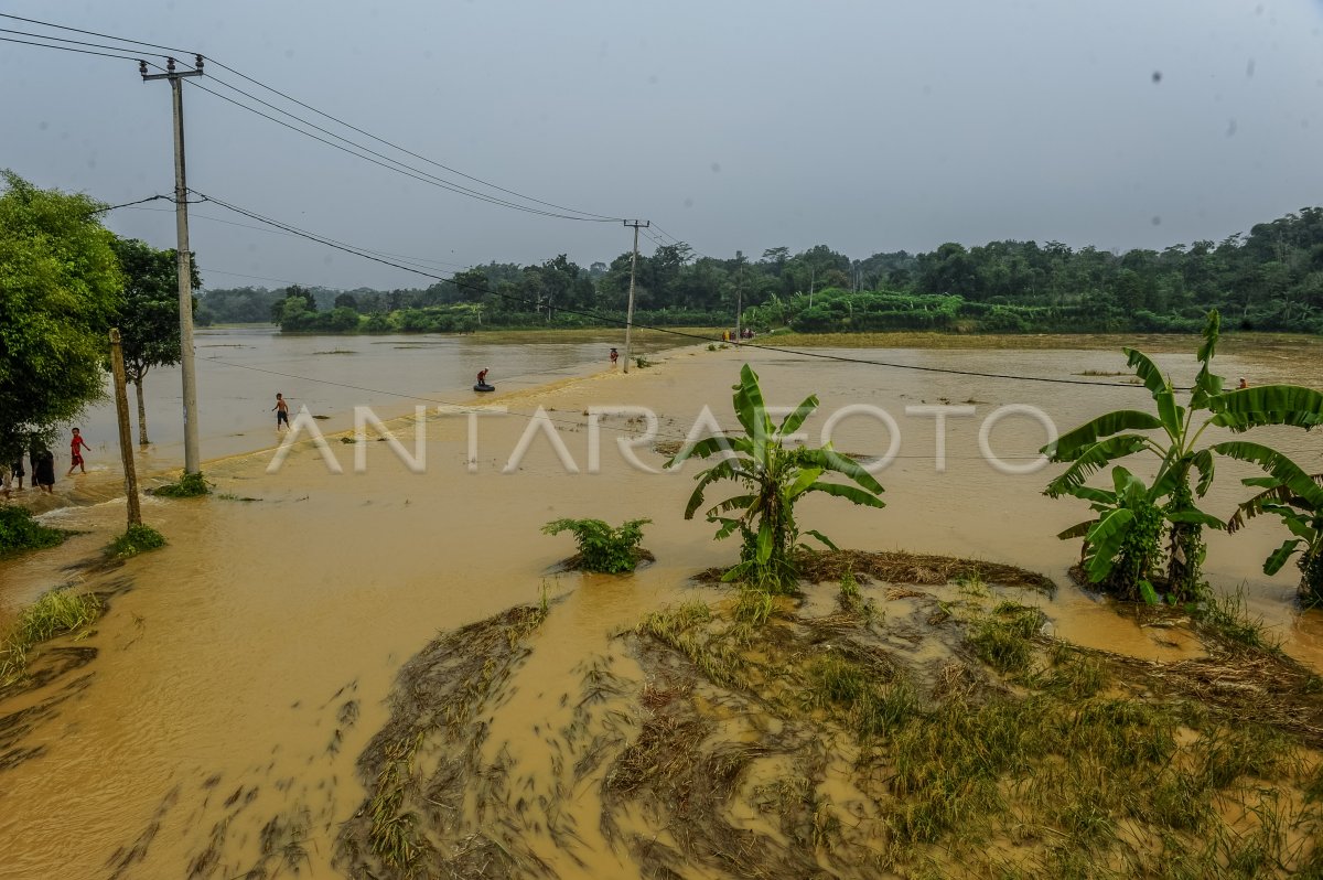 Puluhan hektare sawah terendam banjir di Lebak | ANTARA Foto
