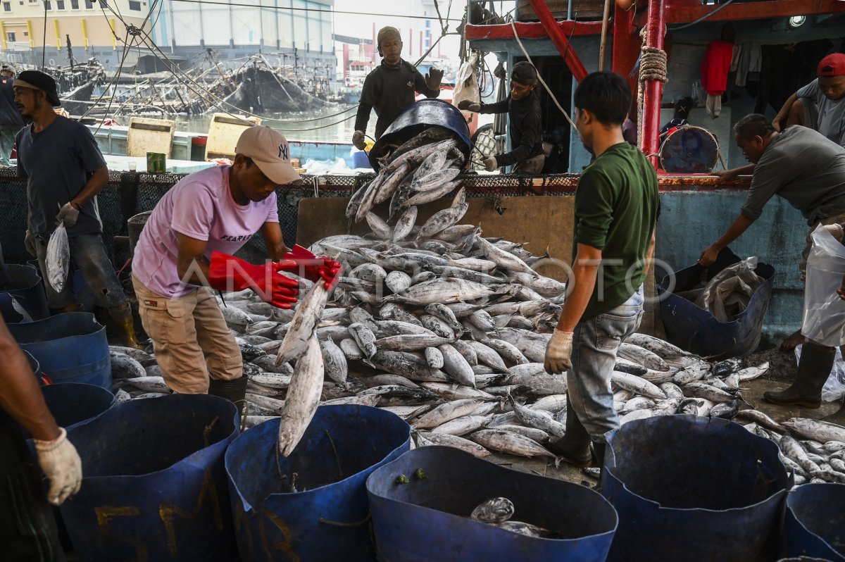 KKP targetkan nilai investasi perikanan naik 15 persen pada 2024 | ANTARA Foto