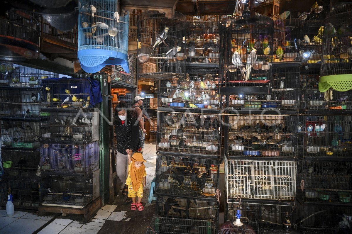 Pasar Burung Pramuka Jakarta | ANTARA Foto