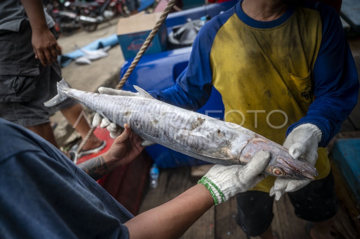 KKP targeting fishery production 3,85 million tons at 2024 | ANTARA Foto