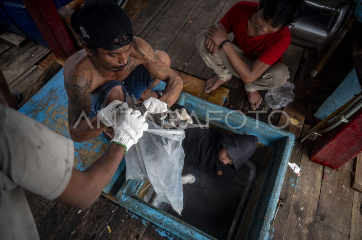 KKP dirigida a la producción de pesquerías 3,85 millones de toneladas en 2024 | ANTARA Foto