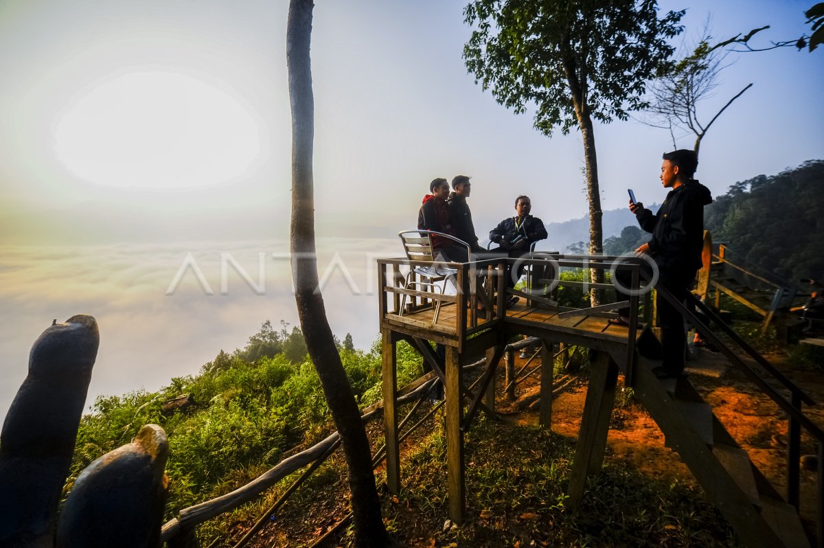 Turismo potencial sobre la nube de Citorek | ANTARA Foto Turismo potencial sobre la nube de Citorek | ANTARA Foto
