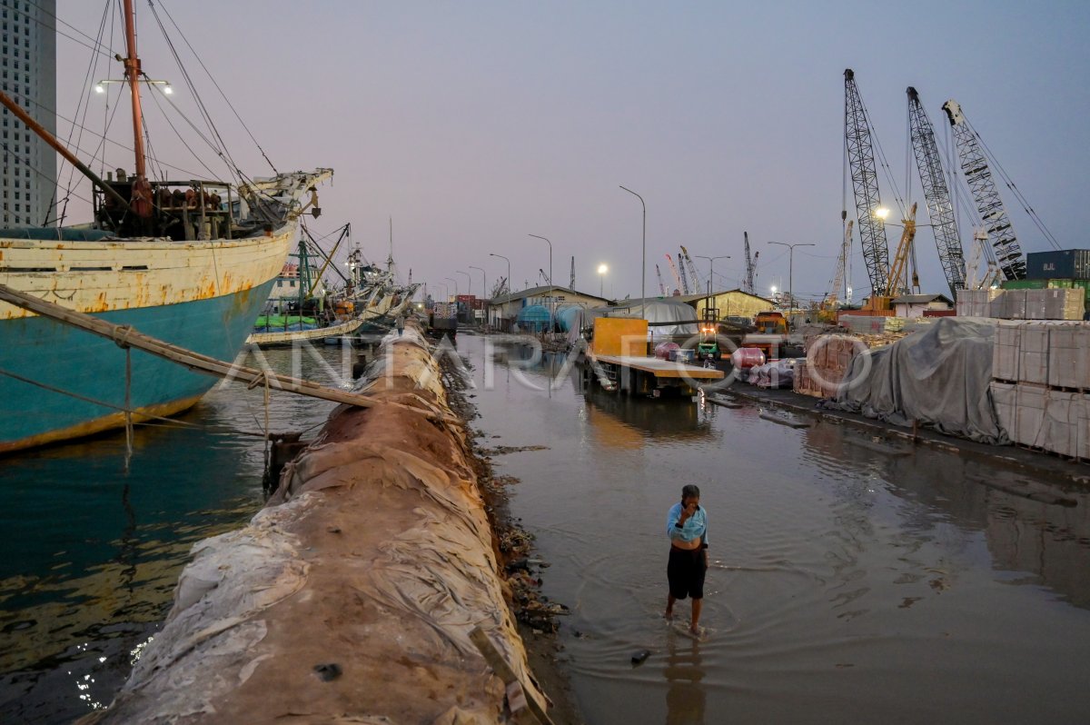 Banjir rob di Pelabuhan Sunda Kelapa | ANTARA Foto