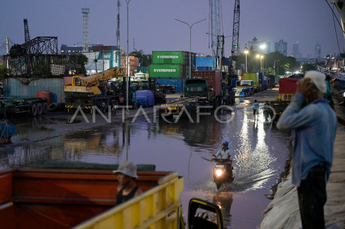 Banjir rob di Pelabuhan Sunda Kelapa | ANTARA Foto