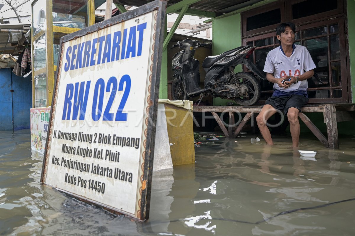 Banjir rob di Muara Angke | ANTARA Foto