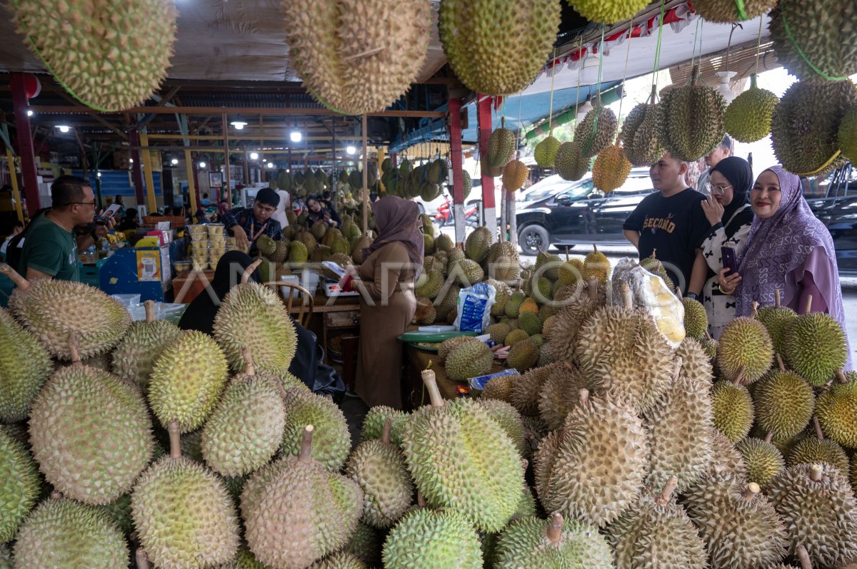 Buah durian Sulteng menuju pasar ekspor | ANTARA Foto