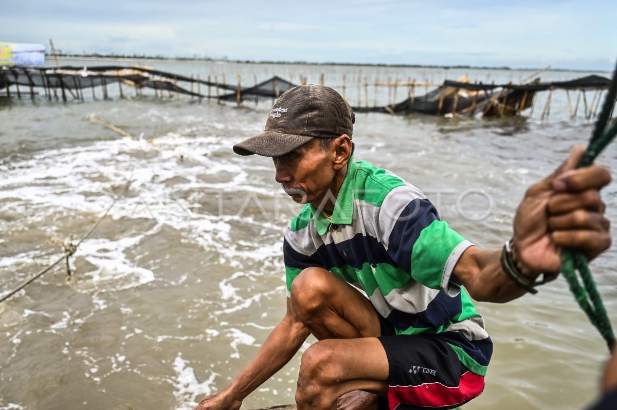 TNI AL dan nelayan bongkar pagar laut di Tangerang | ANTARA Foto