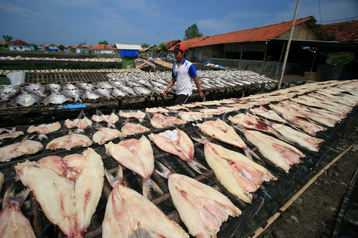 PRODUKSI IKAN ASIN | ANTARA Foto