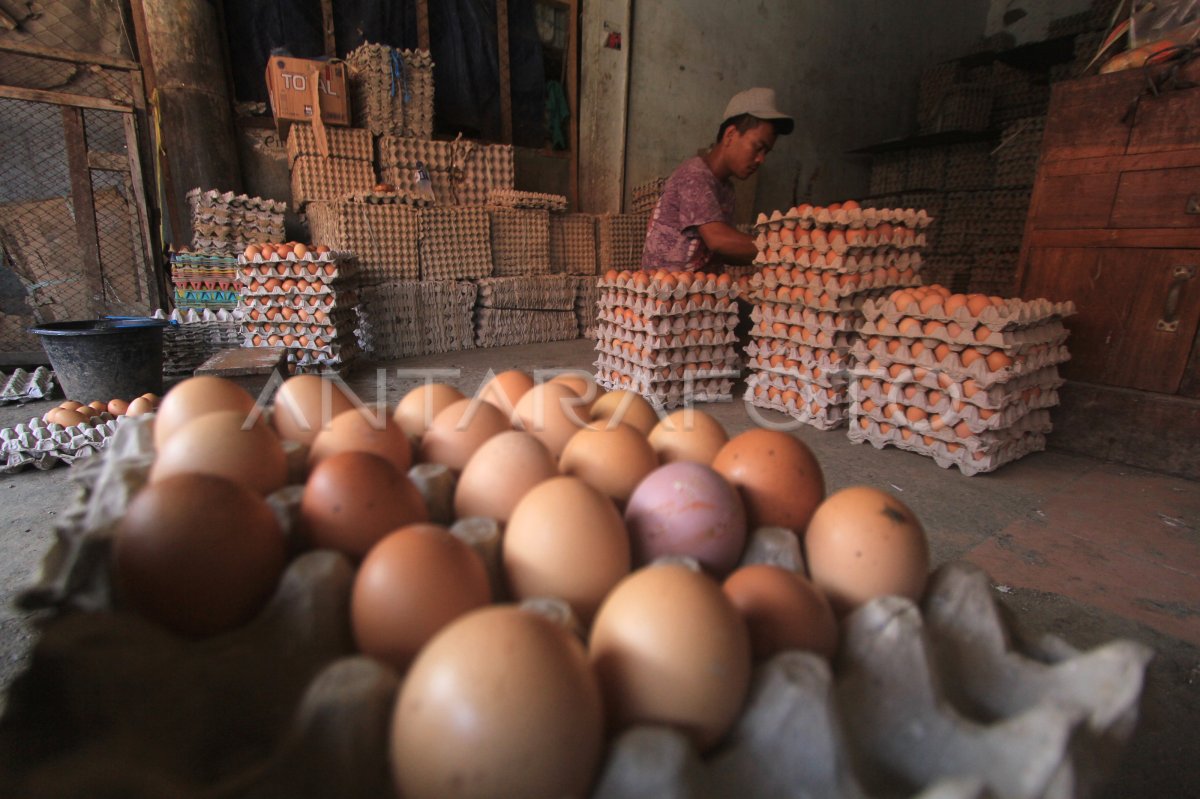 HARGA TELUR JELANG RAMADAN | ANTARA Foto HARGA TELUR JELANG RAMADAN | ANTARA Foto