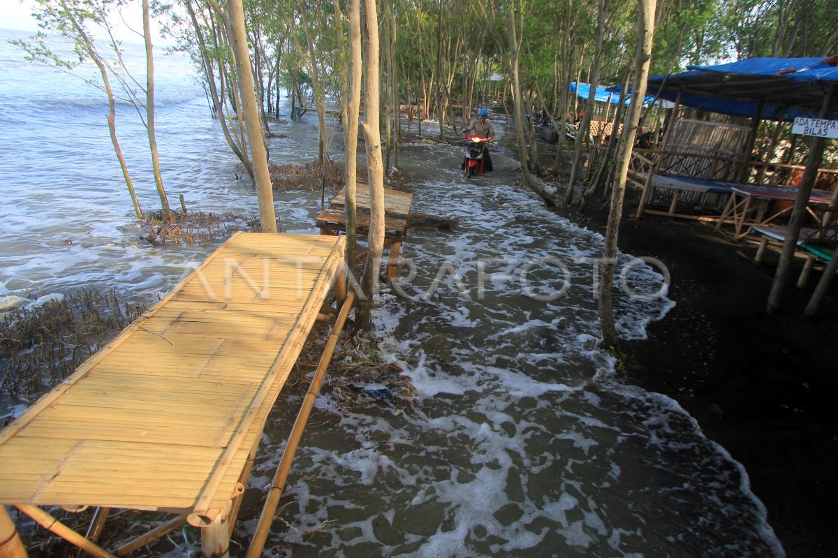 BANJIR ROB PANTAI UTARA | ANTARA Foto
