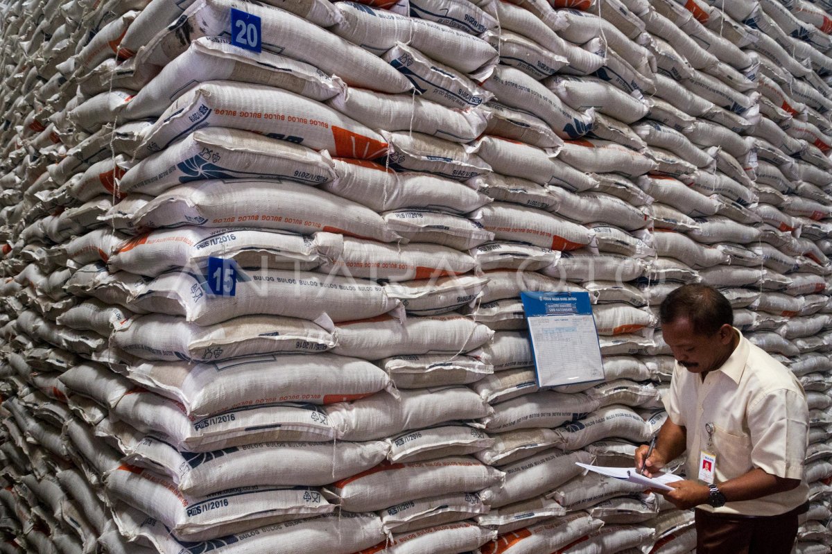 HASIL SERAPAN BERAS BULOG | ANTARA Foto