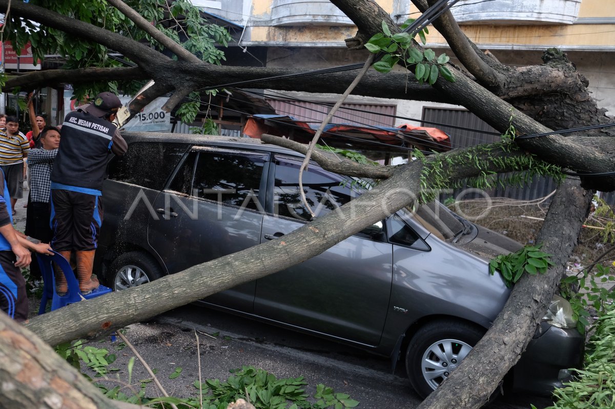 POHON TUMBANG TIMPA MOBIL | ANTARA Foto