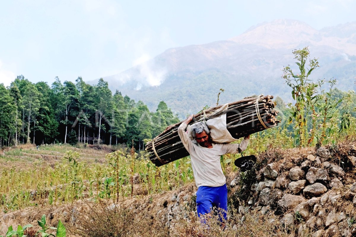 KEBAKARAN HUTAN GUNUNG SUMBING | ANTARA Foto