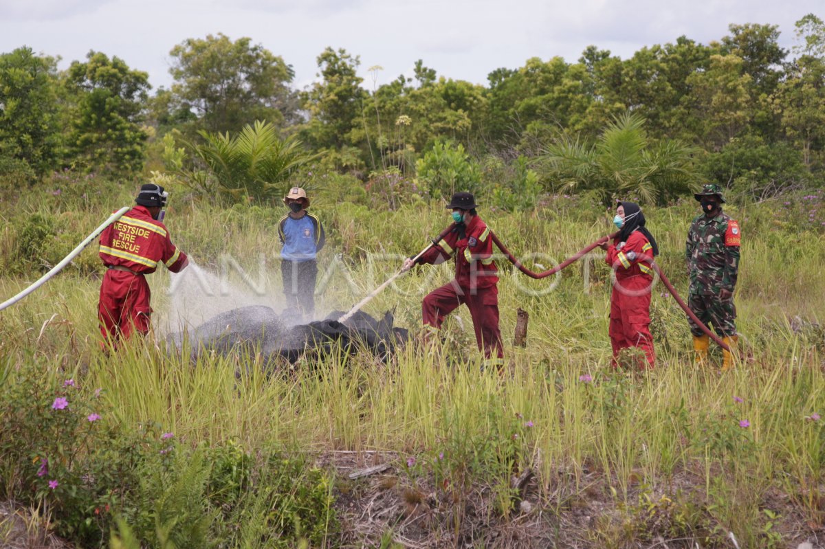 PELATIHAN PENANGANAN KEBAKARAN HUTAN DAN LAHAN GAMBUT | ANTARA Foto