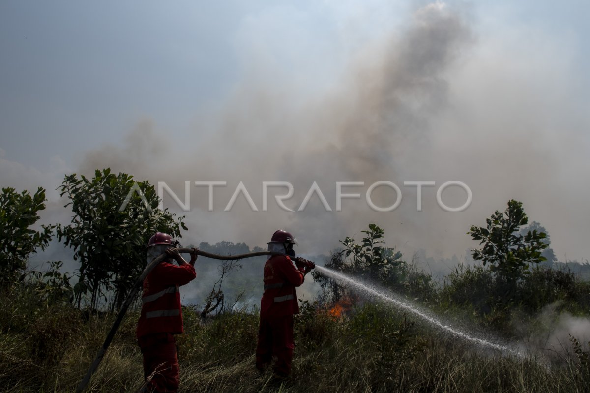 UPAYA PEMADAMAN KEBAKARAN LAHAN DI INDRALAYA UTARA | ANTARA Foto