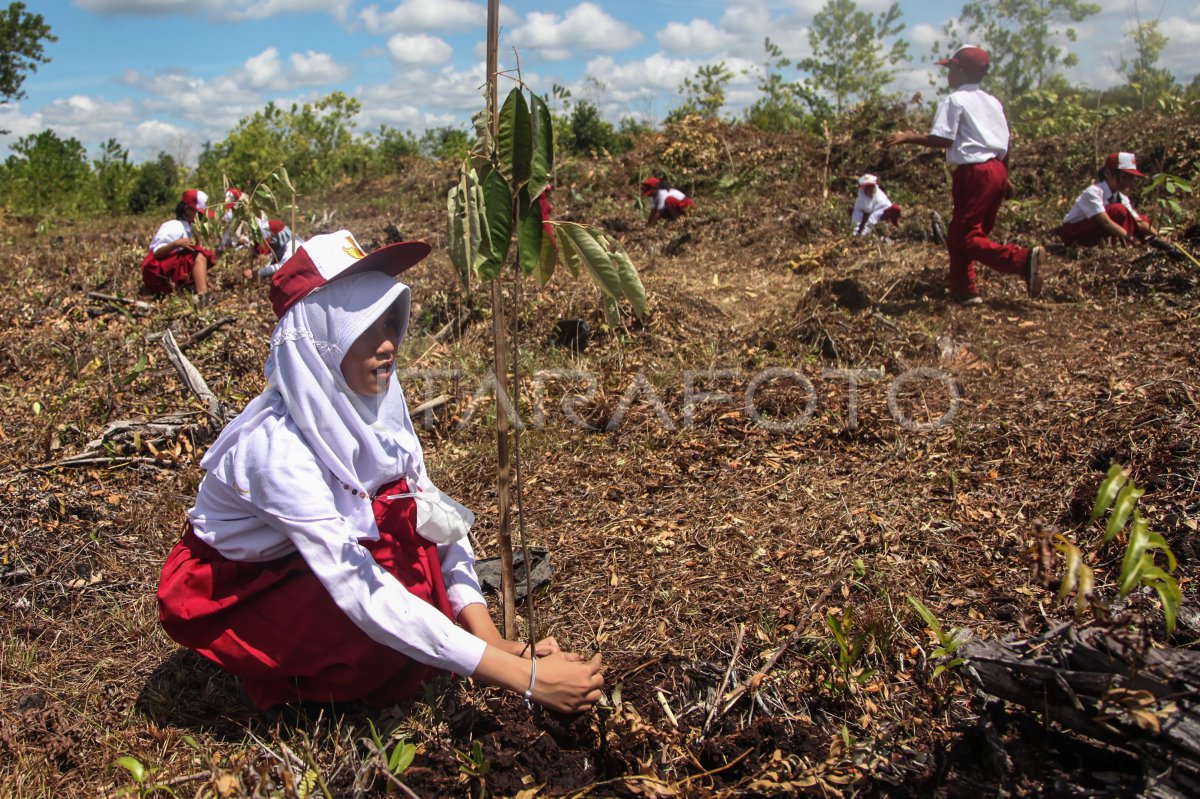 AKSI PENANAMAN BIBIT POHON DI TANAH LAHAN GAMBUT | ANTARA Foto