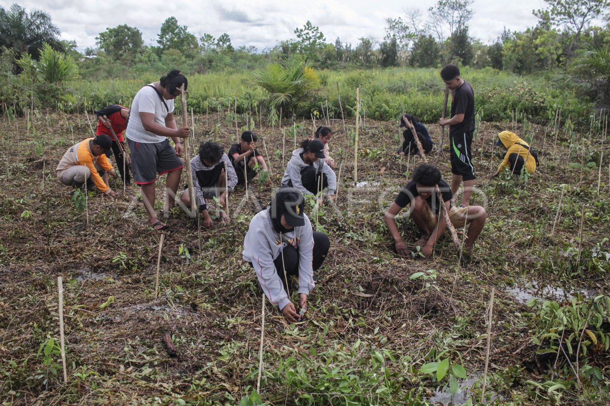 AKSI TANAM POHON MEMPERINGATI HARI HUTAN SEDUNIA | ANTARA Foto