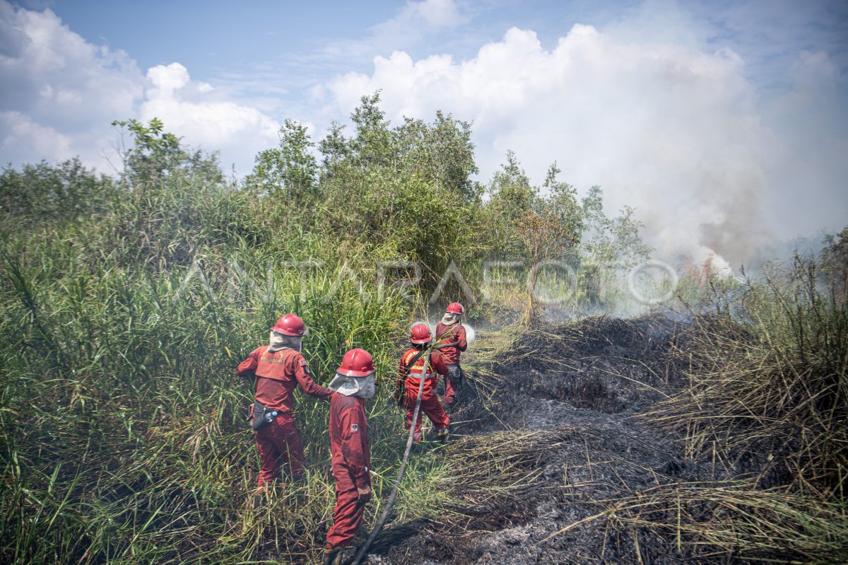 Upaya pemadaman kebakaran lahan gambut di OKI | ANTARA Foto