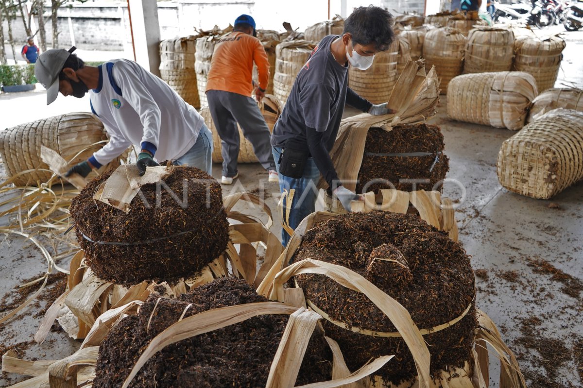 Pembelian tembakau oleh pabrik rokok | ANTARA Foto